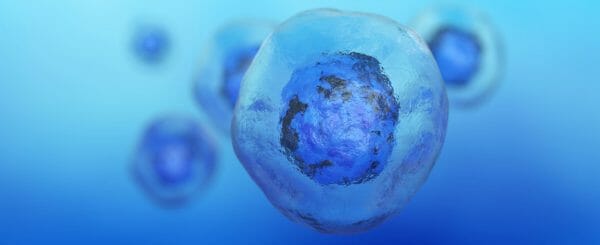 Case-studies-separate_2 | TheWell Bioscience