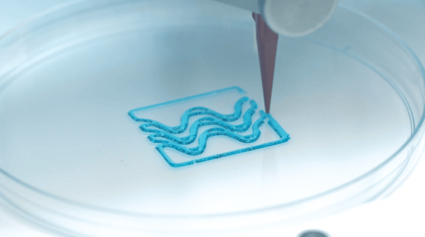 Bioinks for 3D Bioprinting - VitroINK | TheWell Bioscience