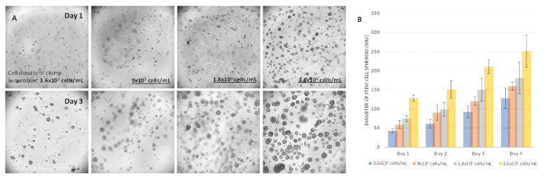 Cell Culture and Scale-up of Human Pluripotent Stem Cells