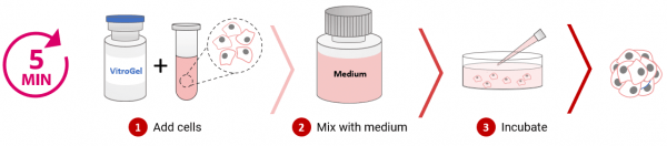 HEK293 - 3D cell culture and scale-up | TheWell Bioscience