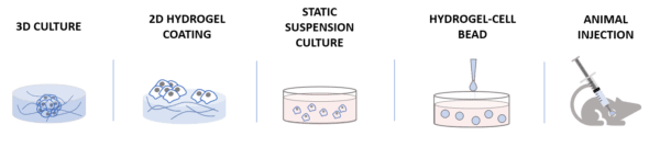 Hydrogels for 3D Cell Culture | TheWell Bioscience