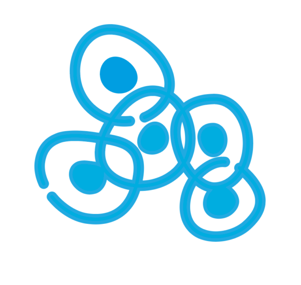 xenograft full ECM control icon | TheWell Bioscience