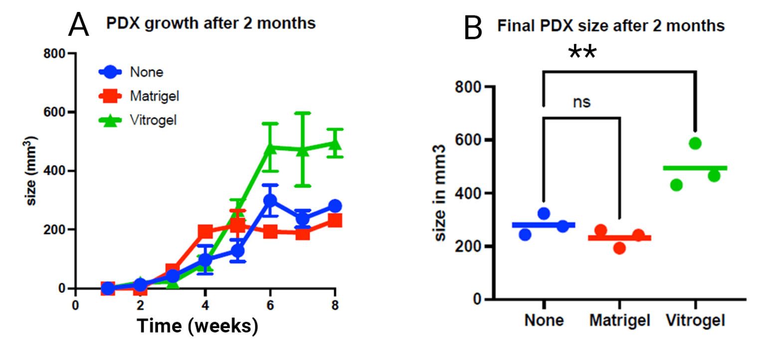 VitroGel® Hydrogel Matrix - 3D Cell Culture | TheWell Bioscience