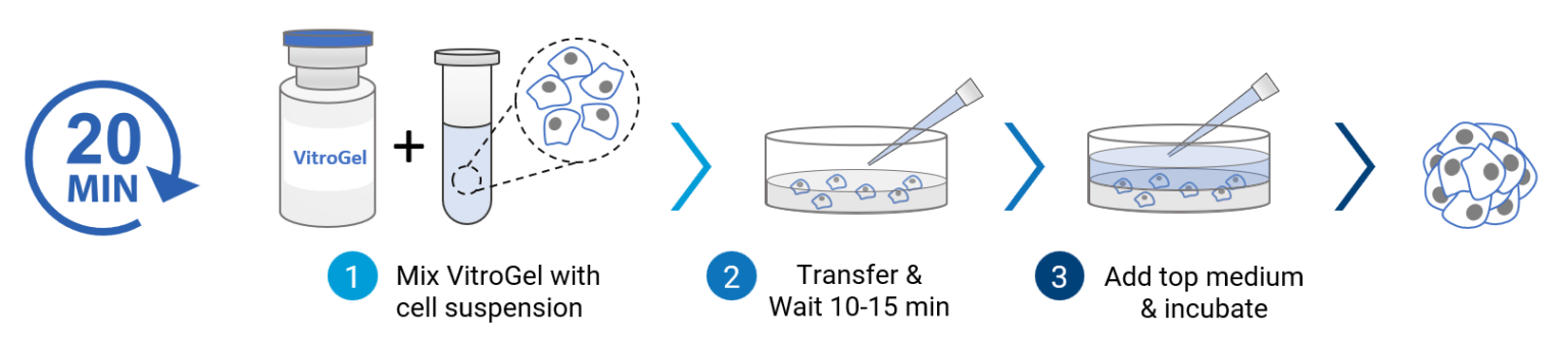 VitroGel® Hydrogel Matrix - 3D Cell Culture | TheWell Bioscience