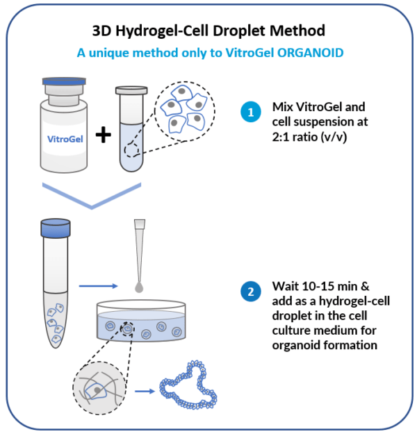 3D ORGANOID Cell Culture - Xeno-free Hydrogel | TheWell Bioscience