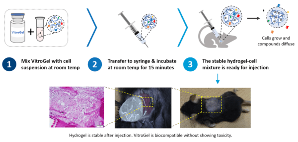 VitroGel Xenograft PDX CDX Injection Overview | TheWell Bioscience