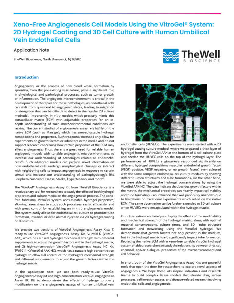 Xeno-Free Angiogenesis Cell Models Using the VitroGel System | TheWell ...