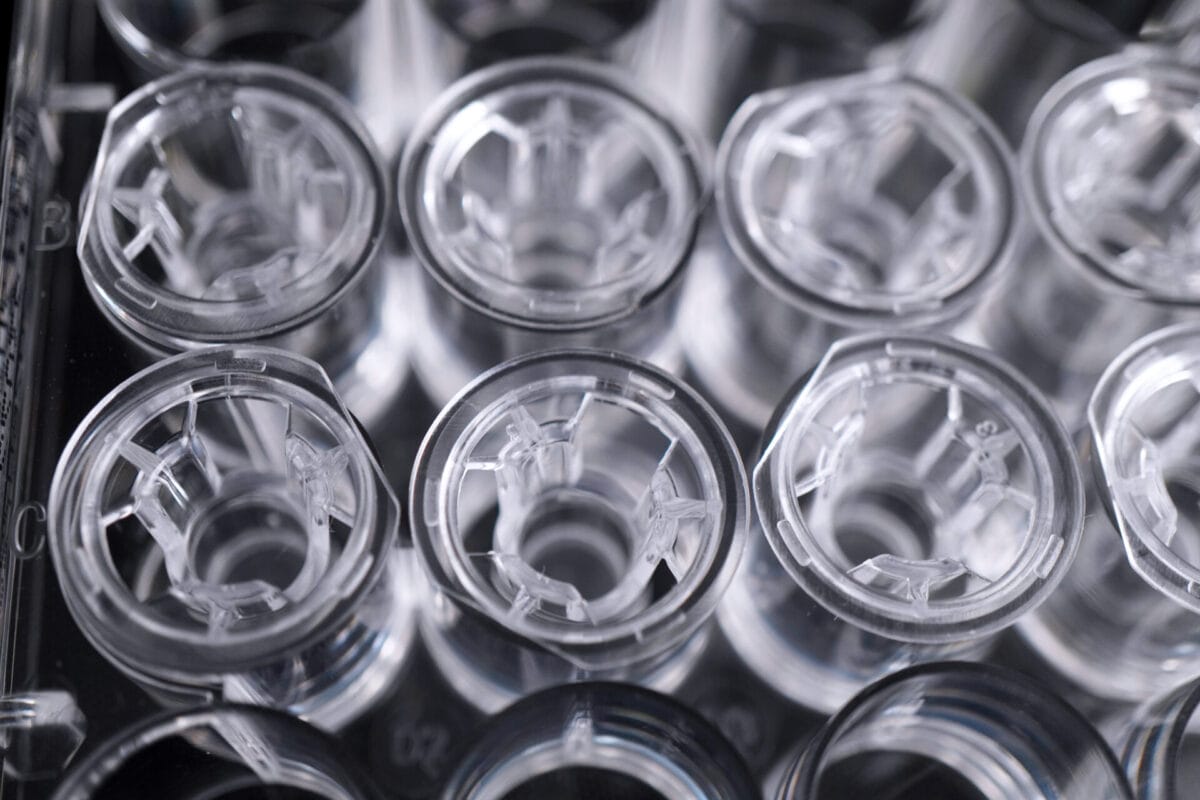 VitroPrime™ Cell Culture Inserts - Permeable | TheWell Bioscience