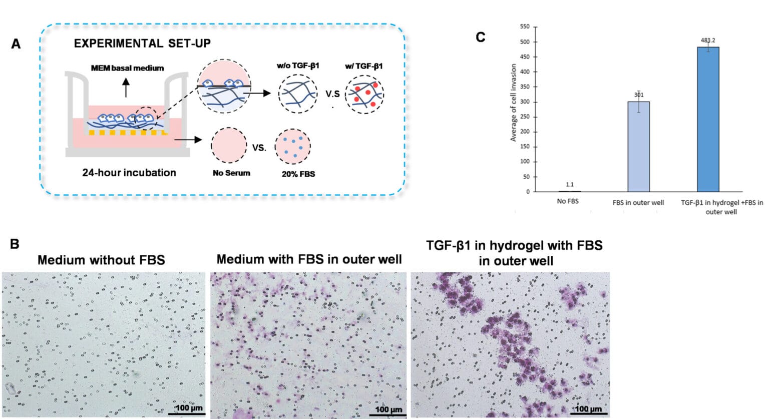 Using the Xeno-free VitroGel® Cell Invasion Assay Kits to Perform both ...