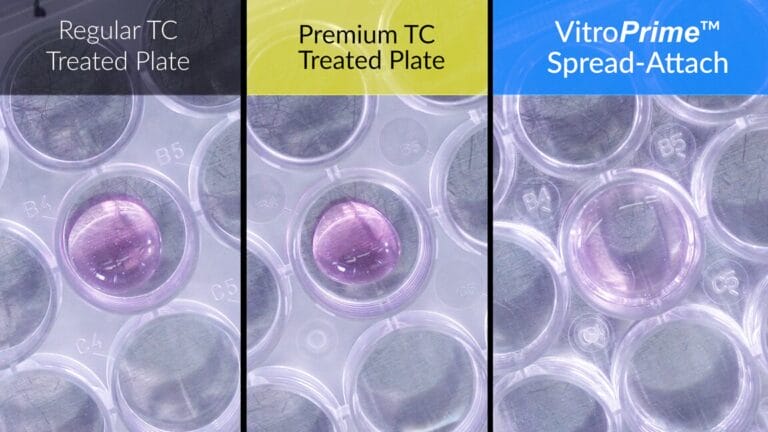 Advanced 3D models for Lab Automation | TheWell Bioscience