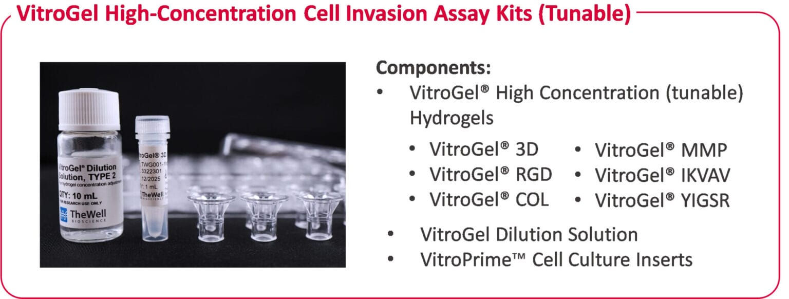 Invasion Assay - Tunable, Xeno-free Hydrogel | VitroGel®