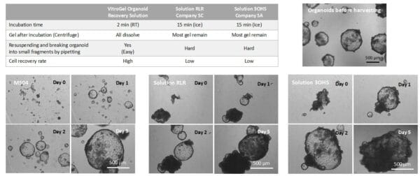 Quick and Efficient Organoid/Cell Recovery from Animal-Based ...