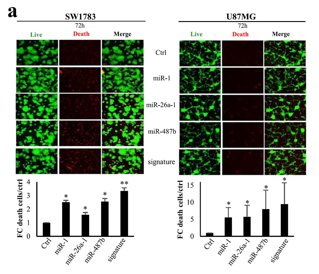 Cyto3D® Live-Dead Assay Kit Aids in Identifying MiRNAs as Promising ...