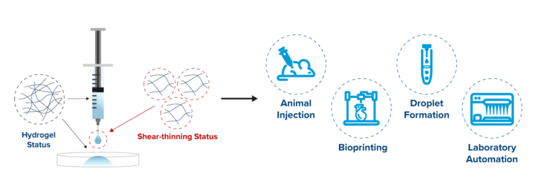 Hydrogels for 3D Cell Culture | TheWell Bioscience
