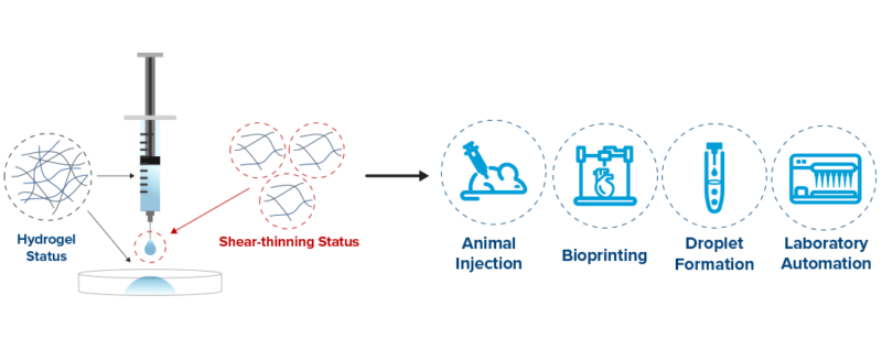 Hydrogels for 3D Cell Culture | TheWell Bioscience
