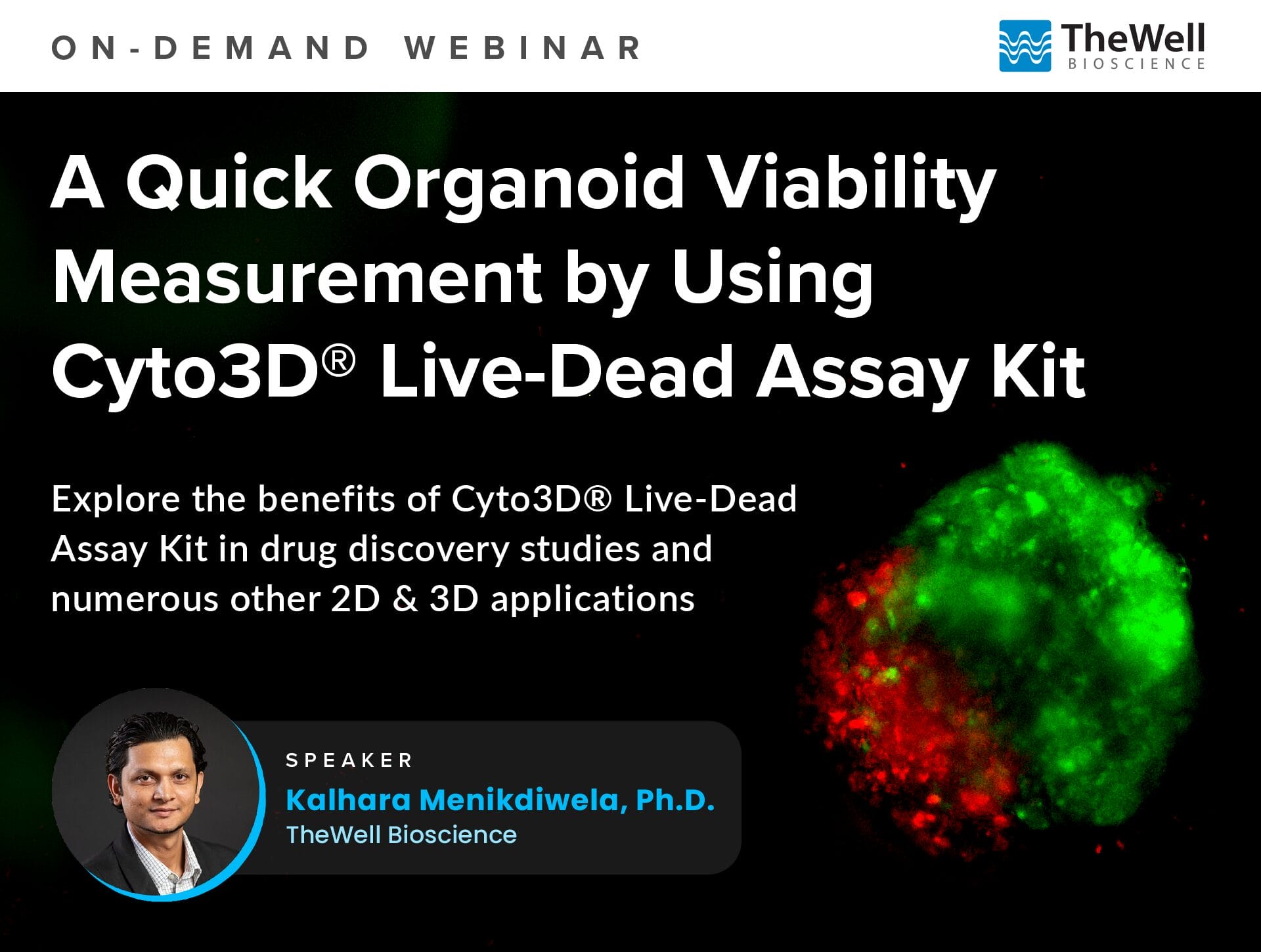 Cyto3D® Live-Dead Assay Kit for 3D / 2D Cell Culture