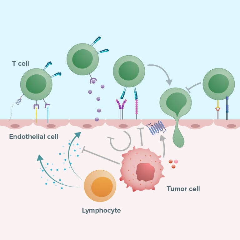 VitroPrime™ Cell Culture Inserts - Permeable | TheWell Bioscience