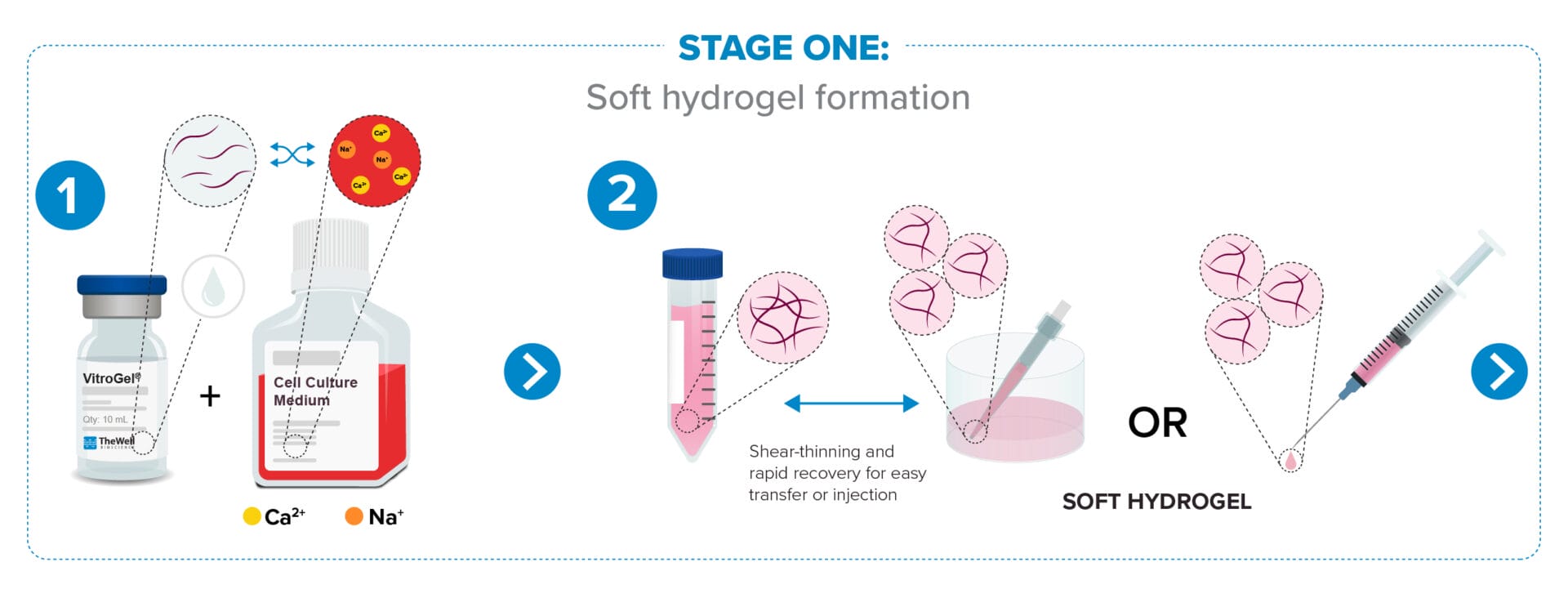 Workflow_How Gelation Works-Horizontal A1 | TheWell Bioscience