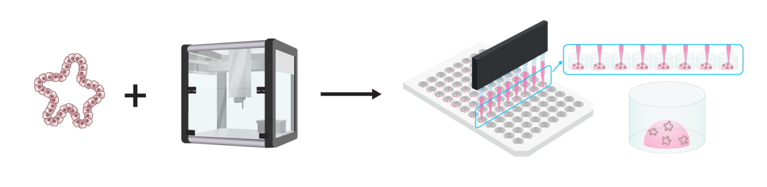Advanced 3D models for Lab Automation | TheWell Bioscience