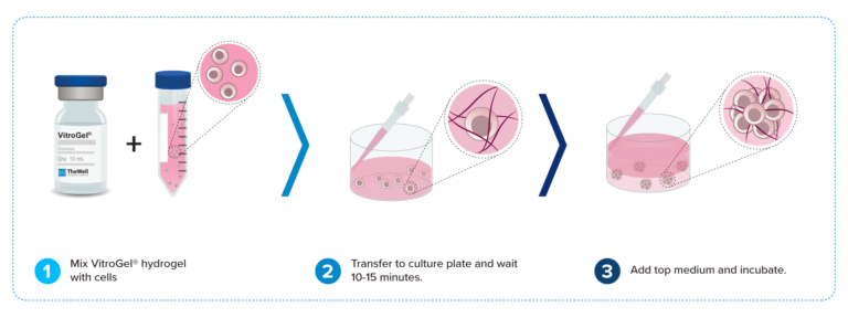 Cell Culture and Scale-up of Human Pluripotent Stem Cells