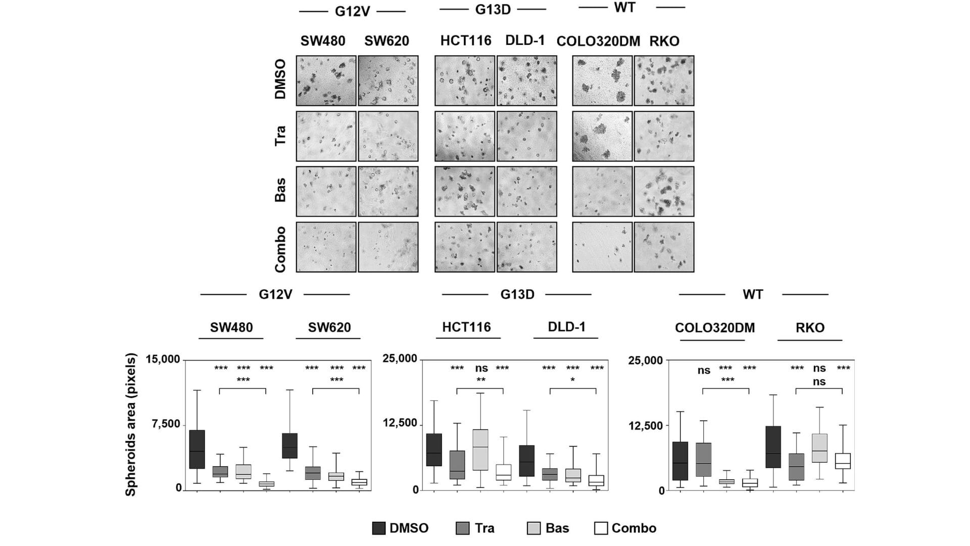3D Cell Culture - Xeno-free Hydrogels & Bioinks | TheWell Bioscience