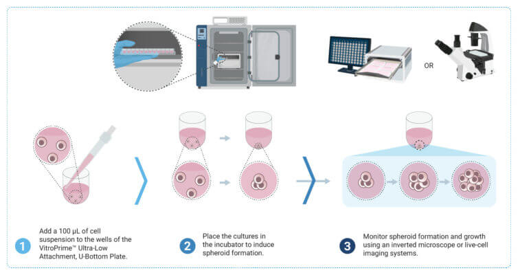 VitroPrime™ Ultra-Low Attachment Plates | 3D Spheroid