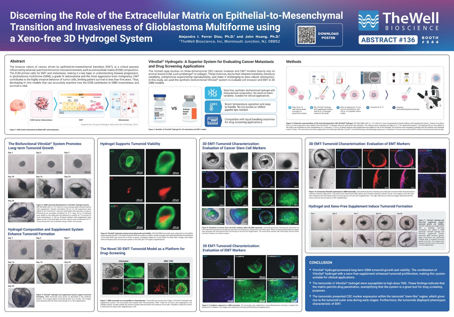 Discerning the Role of the Extracellular Matrix on Epithelial-to-Mesenchymal Transition and ...