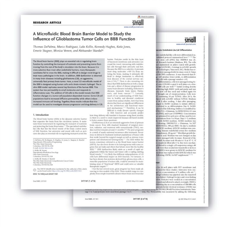 Bringing the Brain to the Bench: A Microfluidic BBB Model for Tumor ...