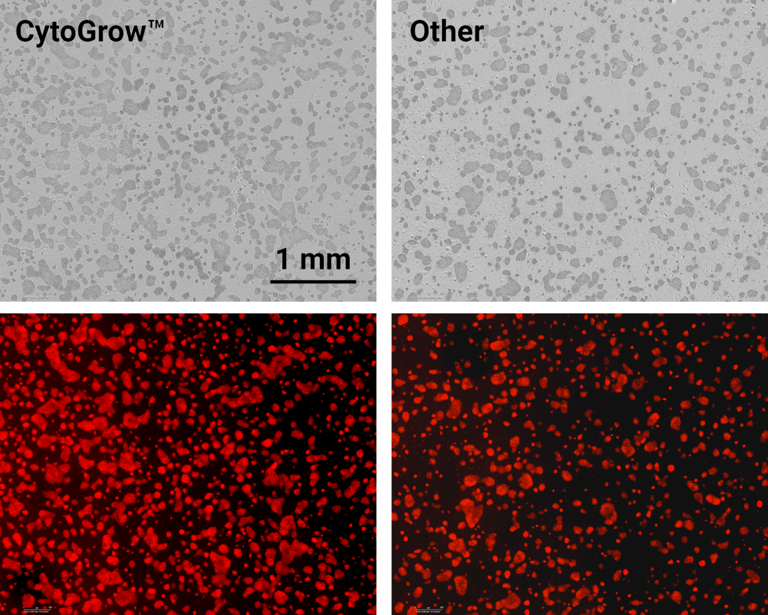 CytoGrow™ Growth Factors | TheWell Bioscience