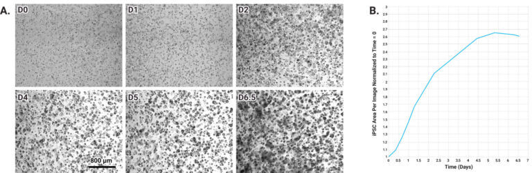 RocketCell™ 3D iPSC Xeno-Free Complete Growth Kit