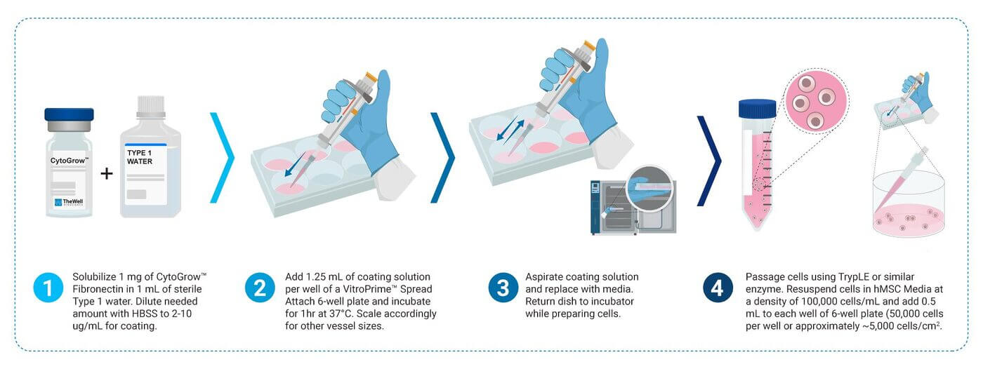 RocketCell hMSC-CytoGrow Growth Factor Fibronectin-workflow | TheWell ...